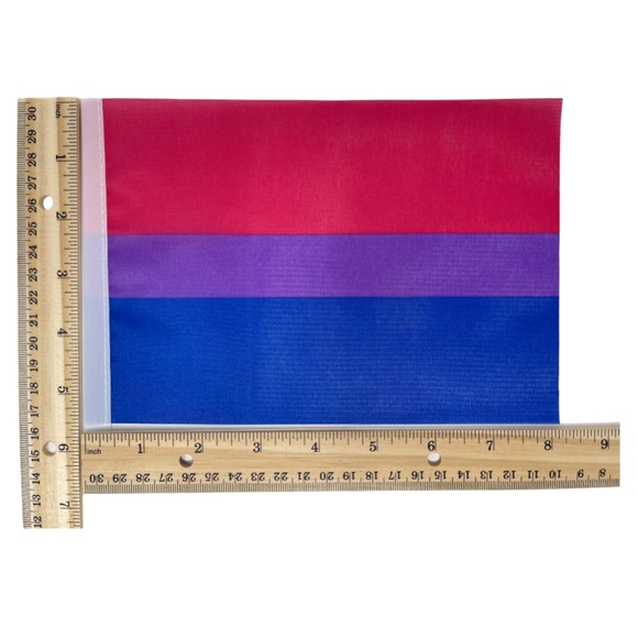 Party Supplies | Bisexual Gay Pride Mini Stick Flags Lgbt Lgbtq Small ...